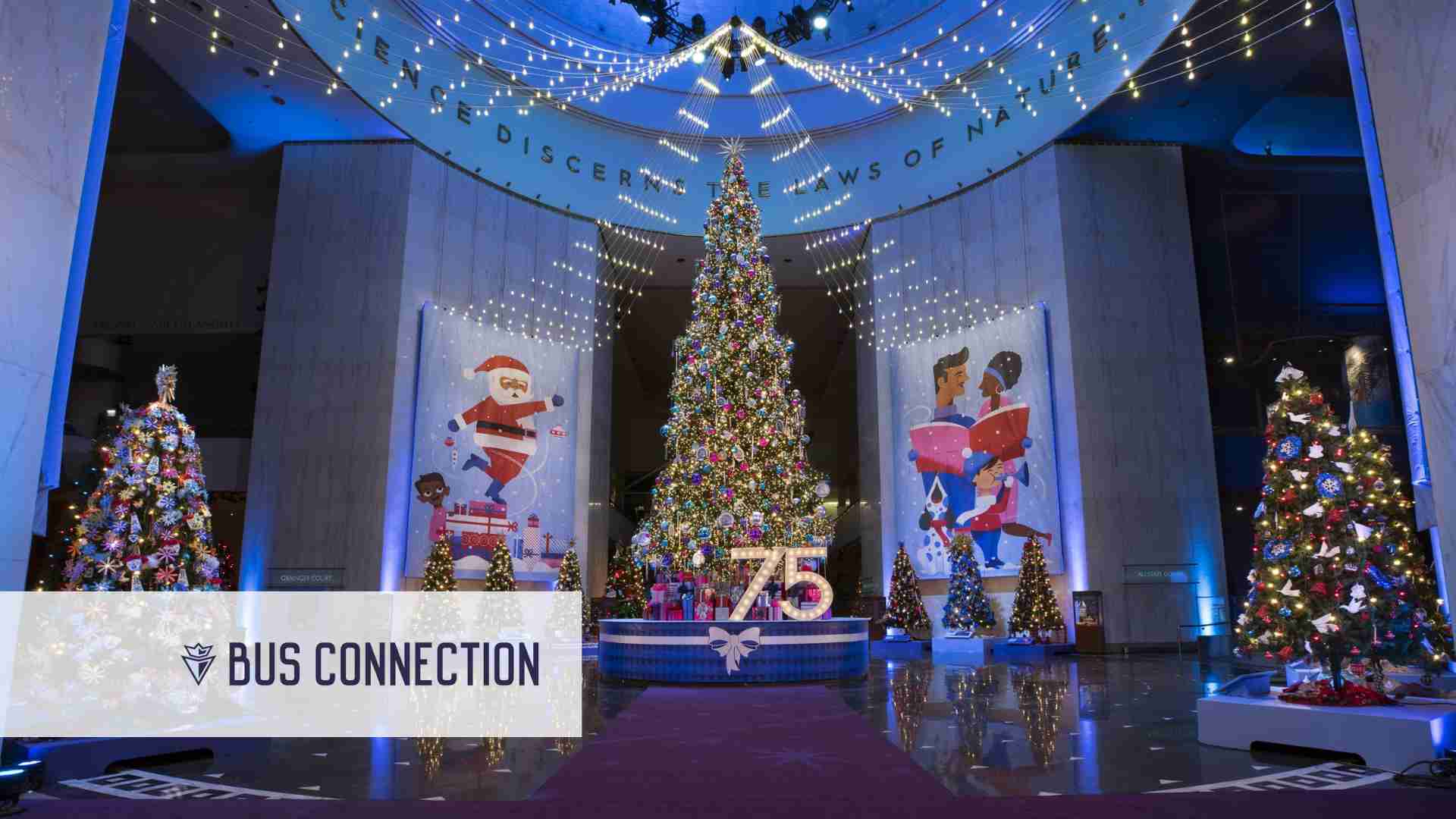 A Fairy Tale of Twinkling Lights: Ushering in the Holiday Season With a ...